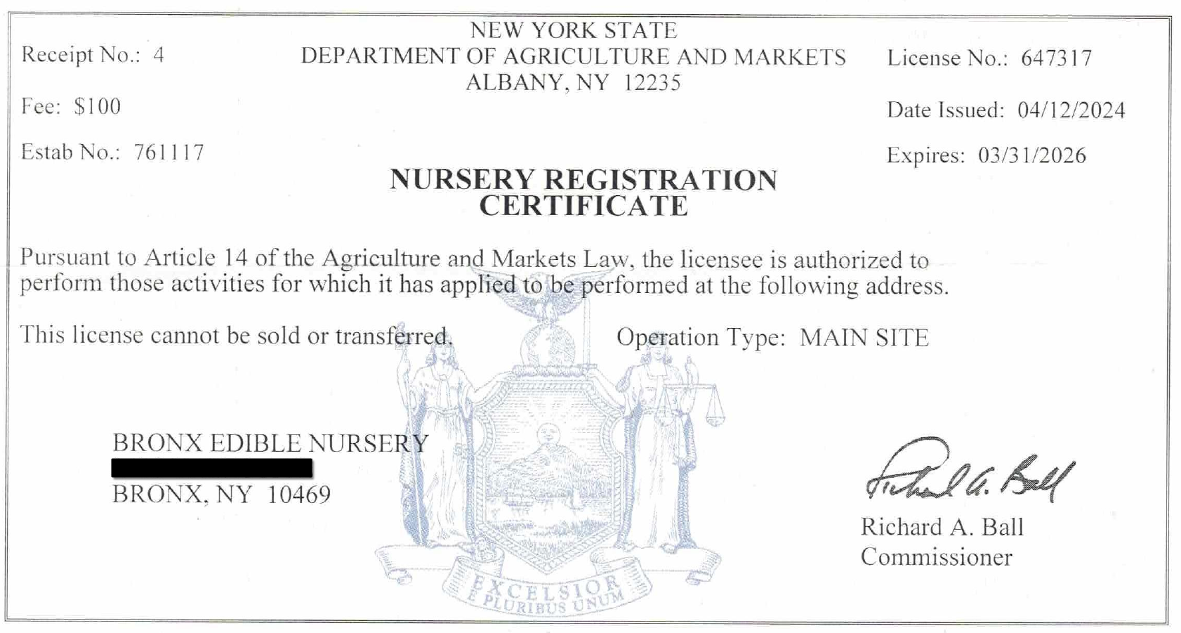 About Our Nursery – The Bronx Edible Nursery